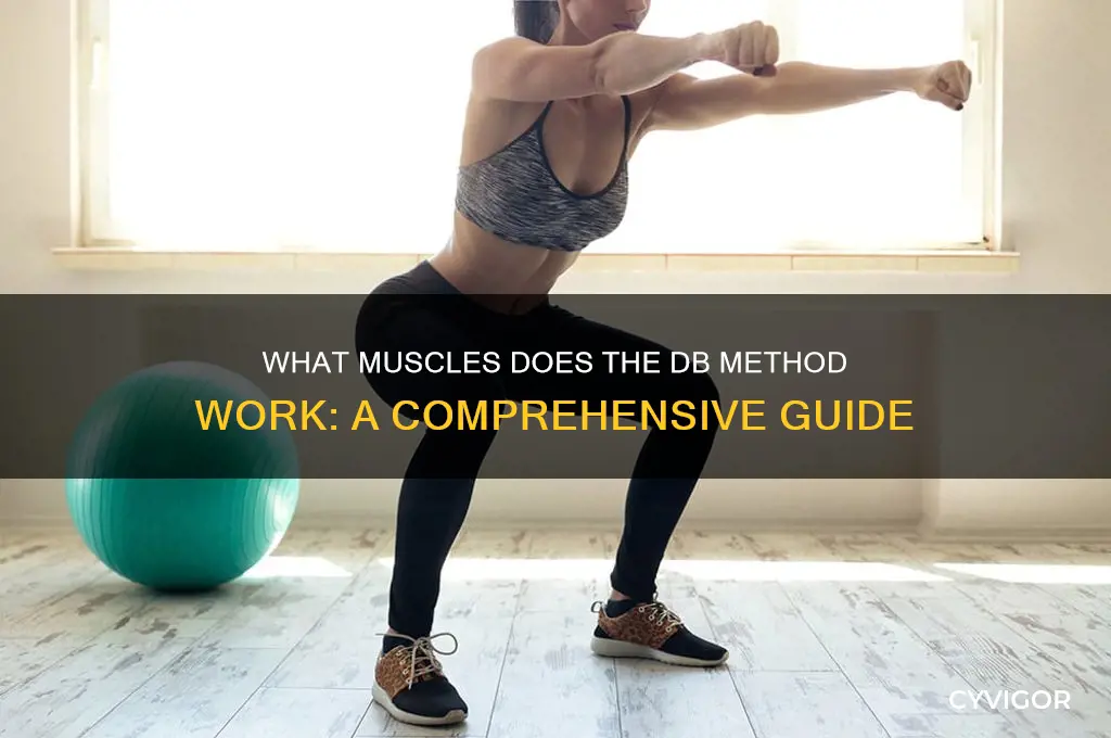 What Muscles Does The Db Method Work: A Comprehensive Guide | CyVigor
