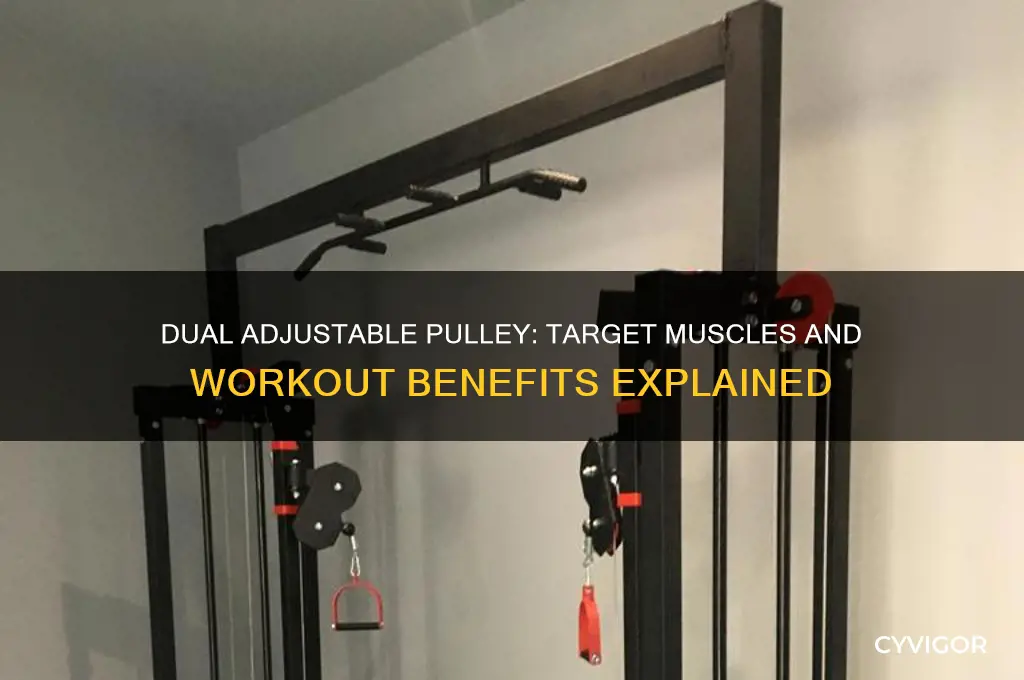 Dual Adjustable Pulley: Target Muscles And Workout Benefits Explained ...