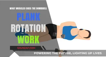 Dumbbell Fly Muscles: Targeted Chest, Shoulders, And Back Workout ...