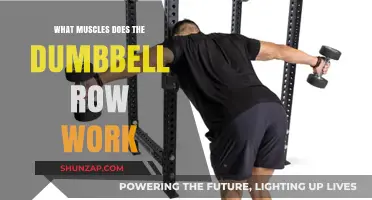 Dumbbell Fly Muscles: Targeted Chest, Shoulders, And Back Workout ...