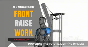 Flexed Arm Hang Muscles: Targeted Strength Training Benefits Explained ...
