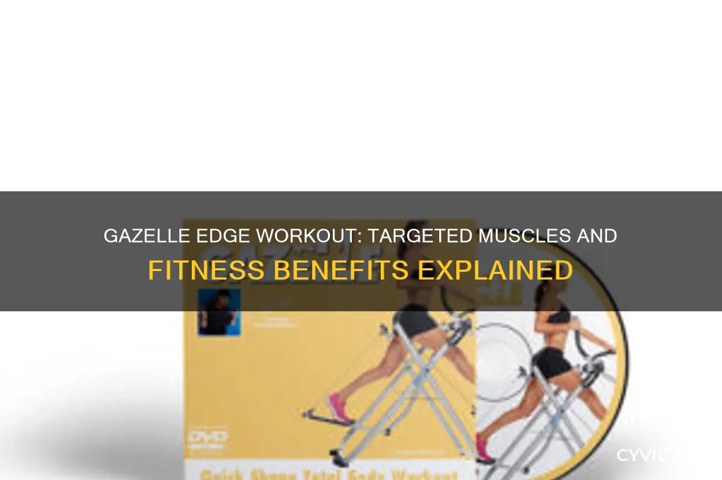 Gazelle Edge Workout: Targeted Muscles And Fitness Benefits Explained ...