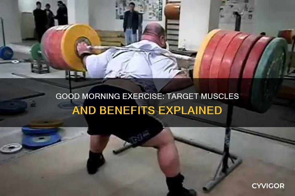 Good Morning Exercise: Target Muscles And Benefits Explained | CyVigor