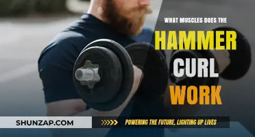 Hamstring Stretch Benefits: Targeted Muscles And Flexibility Explained ...