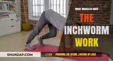 Jacobs Ladder Workout: Targeted Muscles And Full-Body Benefits ...