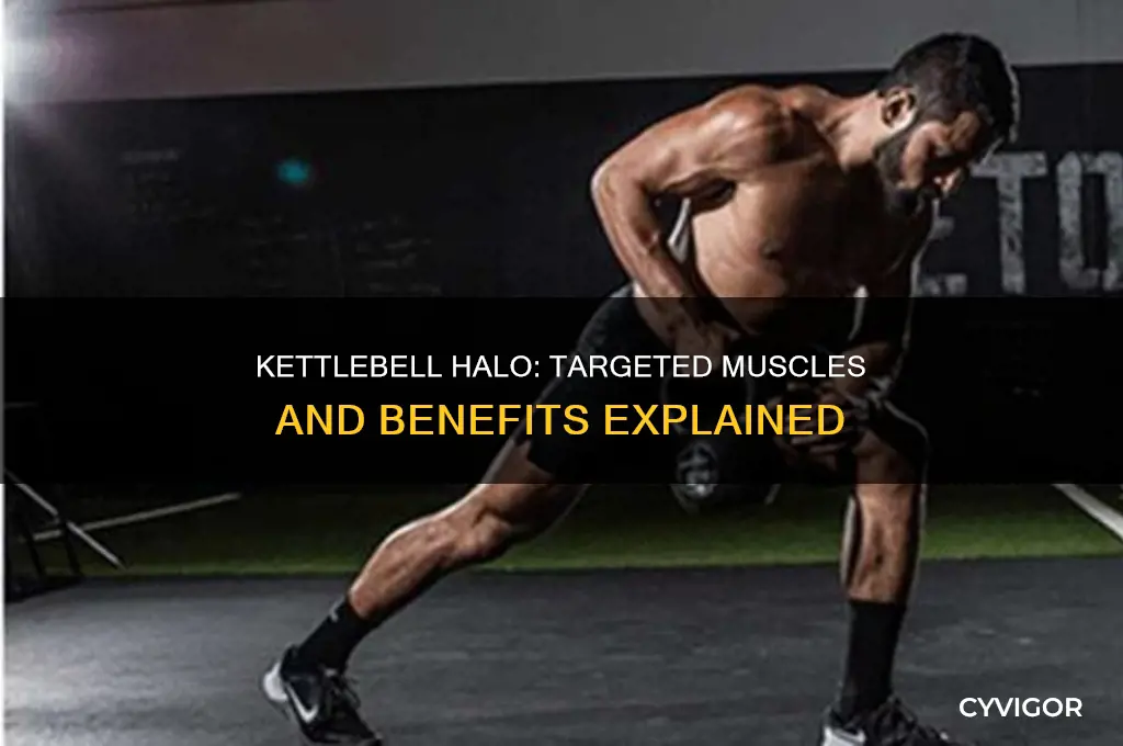 Kettlebell Halo: Targeted Muscles And Benefits Explained | CyVigor