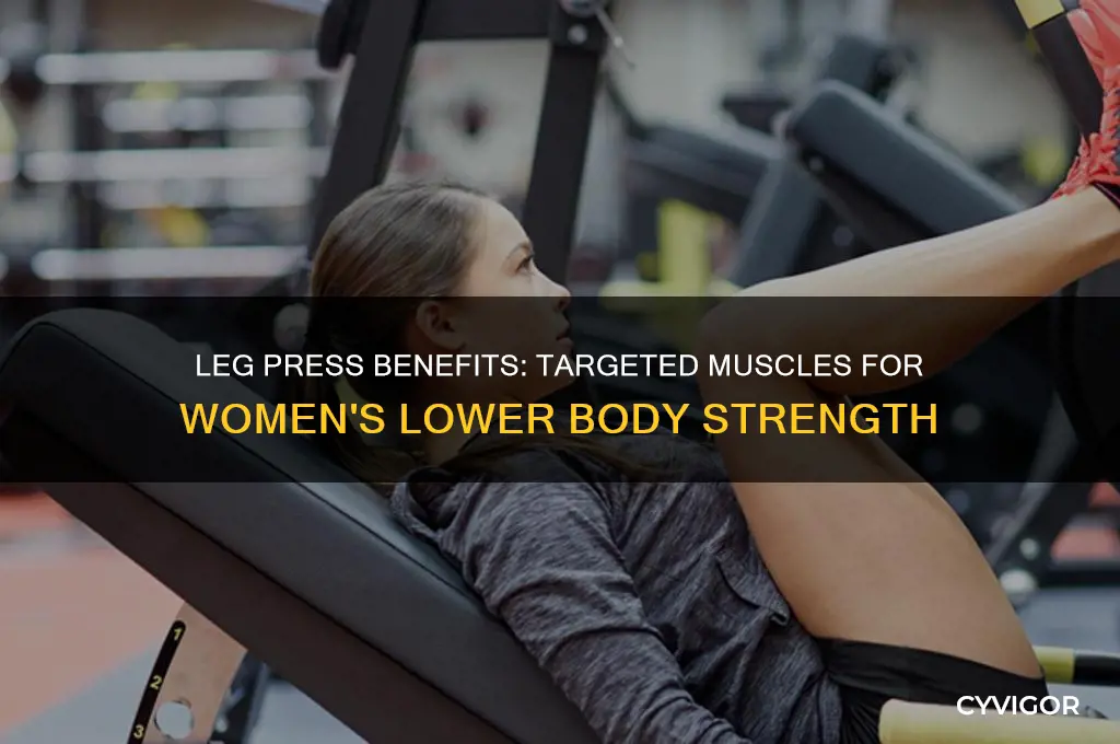 Leg Press Benefits: Targeted Muscles For Women's Lower Body Strength ...