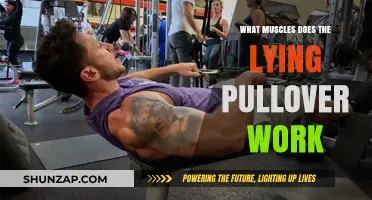 Landmine Twist: Targeted Muscles And Benefits For Core Strength | CyVigor