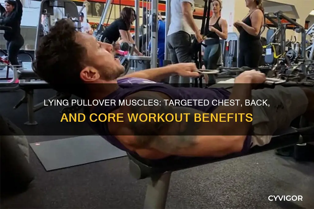 Lying Pullover Muscles: Targeted Chest, Back, And Core Workout Benefits ...