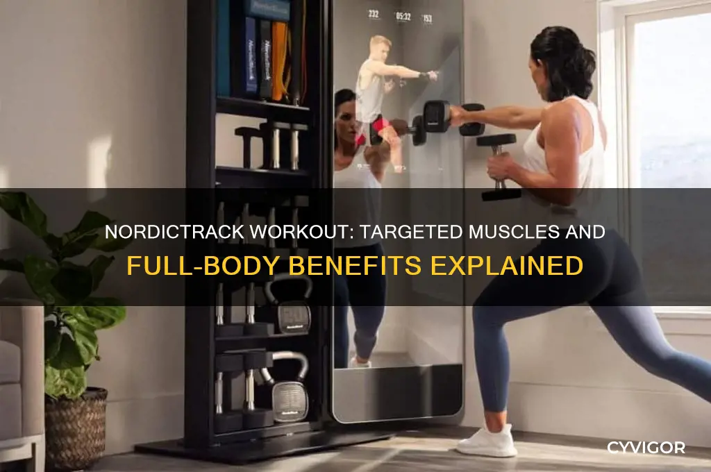 Nordictrack Workout: Targeted Muscles And Full-Body Benefits Explained ...