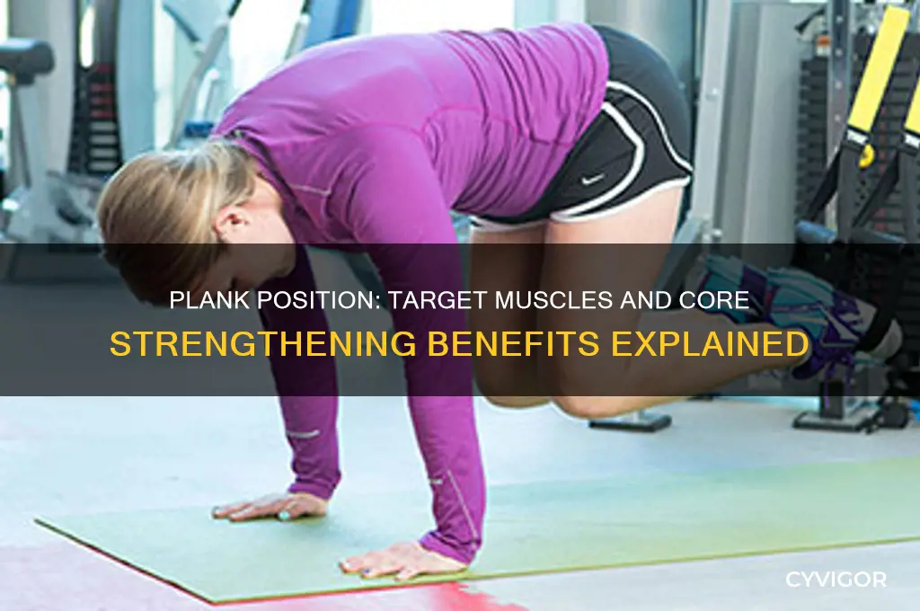 Plank Position: Target Muscles And Core Strengthening Benefits ...