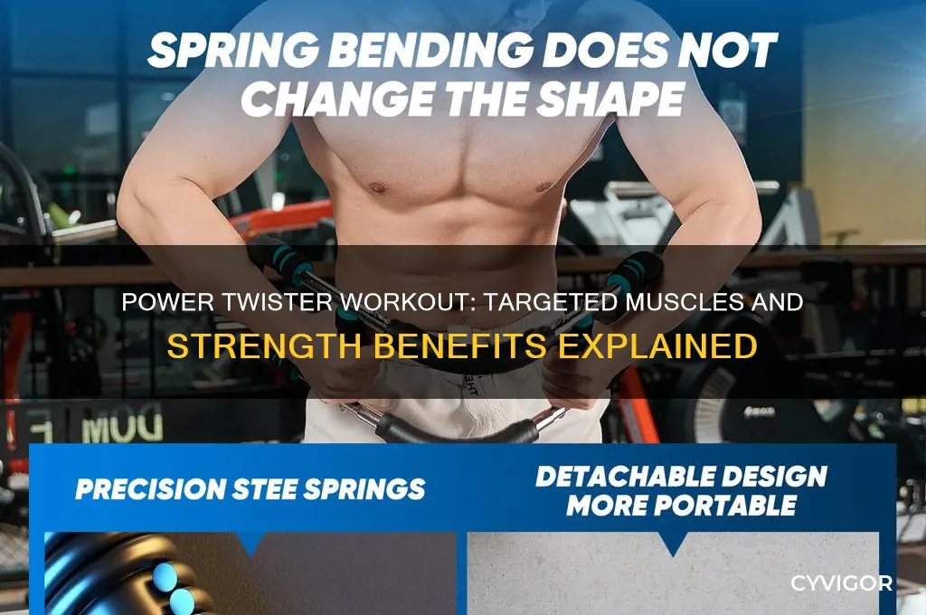 Power Twister Workout: Targeted Muscles And Strength Benefits Explained ...