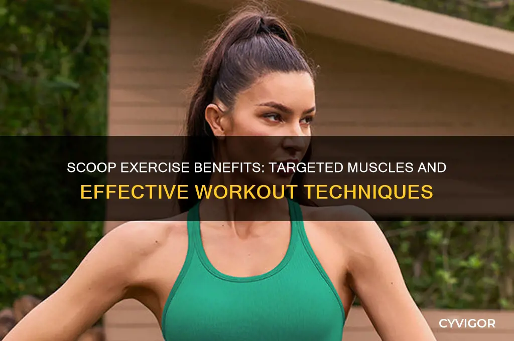 Scoop Exercise Benefits: Targeted Muscles And Effective Workout ...