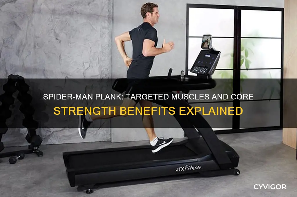 Spider-Man Plank: Targeted Muscles And Core Strength Benefits Explained ...