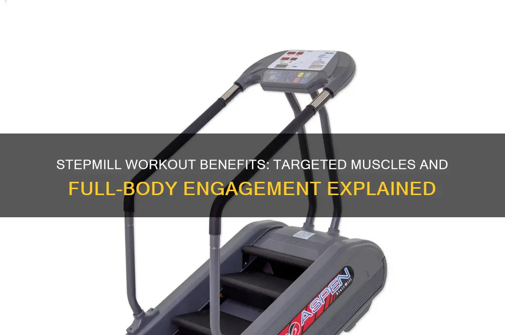 Stepmill Workout Benefits: Targeted Muscles And Full-Body Engagement ...