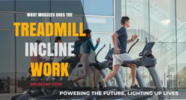Torso Twist Benefits: Targeted Muscles And Core Strengthening Explained ...
