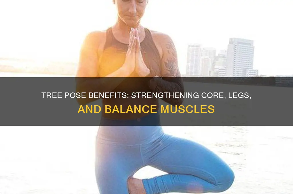 Tree Pose Benefits: Strengthening Core, Legs, And Balance Muscles | CyVigor