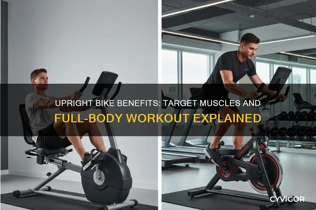 Upright Bike Benefits: Target Muscles And Full-Body Workout Explained ...