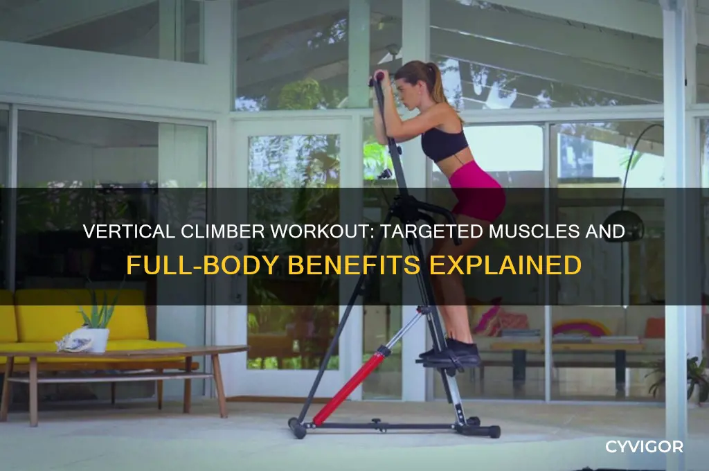 Vertical Climber Workout: Targeted Muscles And Full-Body Benefits ...