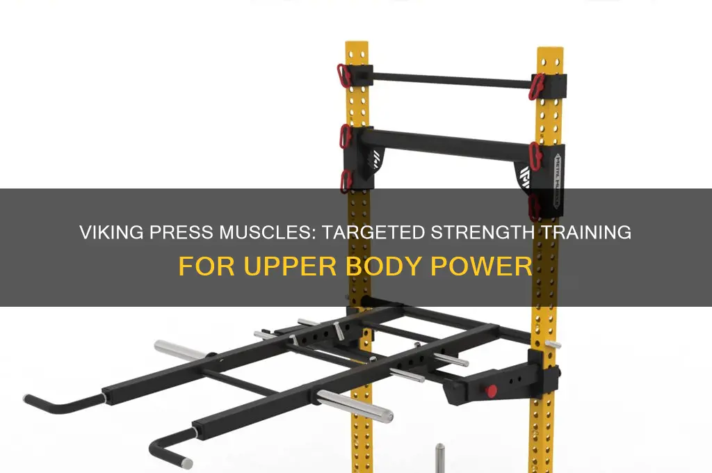Viking Press Muscles: Targeted Strength Training For Upper Body Power ...