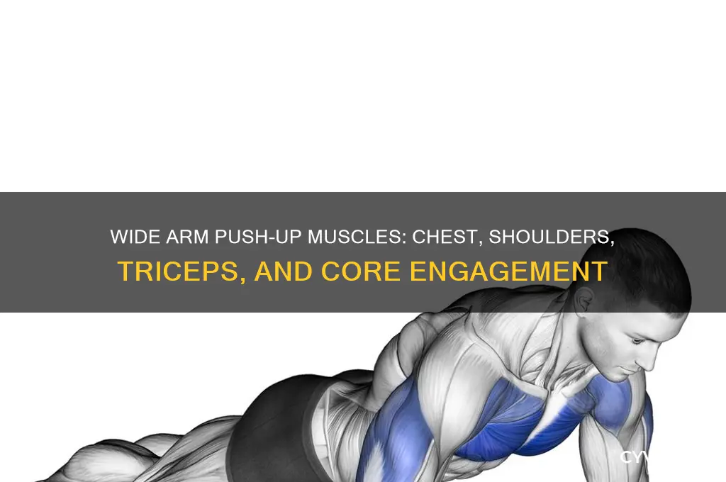 Wide Arm Push-Up Muscles: Chest, Shoulders, Triceps, And Core ...