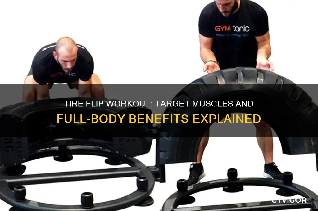 Tire Flip Workout: Target Muscles And Full-Body Benefits Explained ...