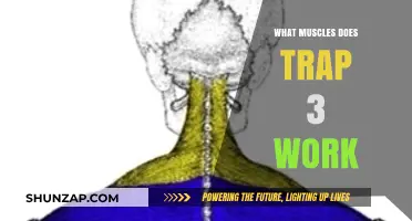 Muscles Engaged In Football Throws: A Comprehensive Breakdown | CyVigor
