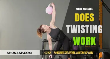 Torso Rotation: Key Muscles Engaged And Benefits Explained | CyVigor