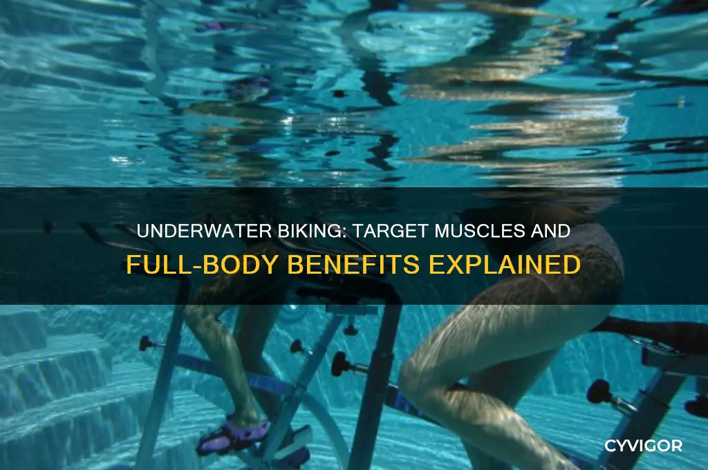 Underwater Biking: Target Muscles And Full-Body Benefits Explained ...