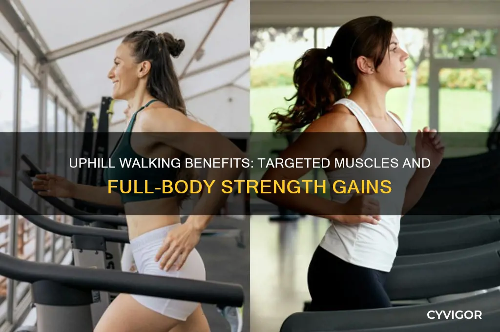 Uphill Walking Benefits: Targeted Muscles And Full-Body Strength Gains ...
