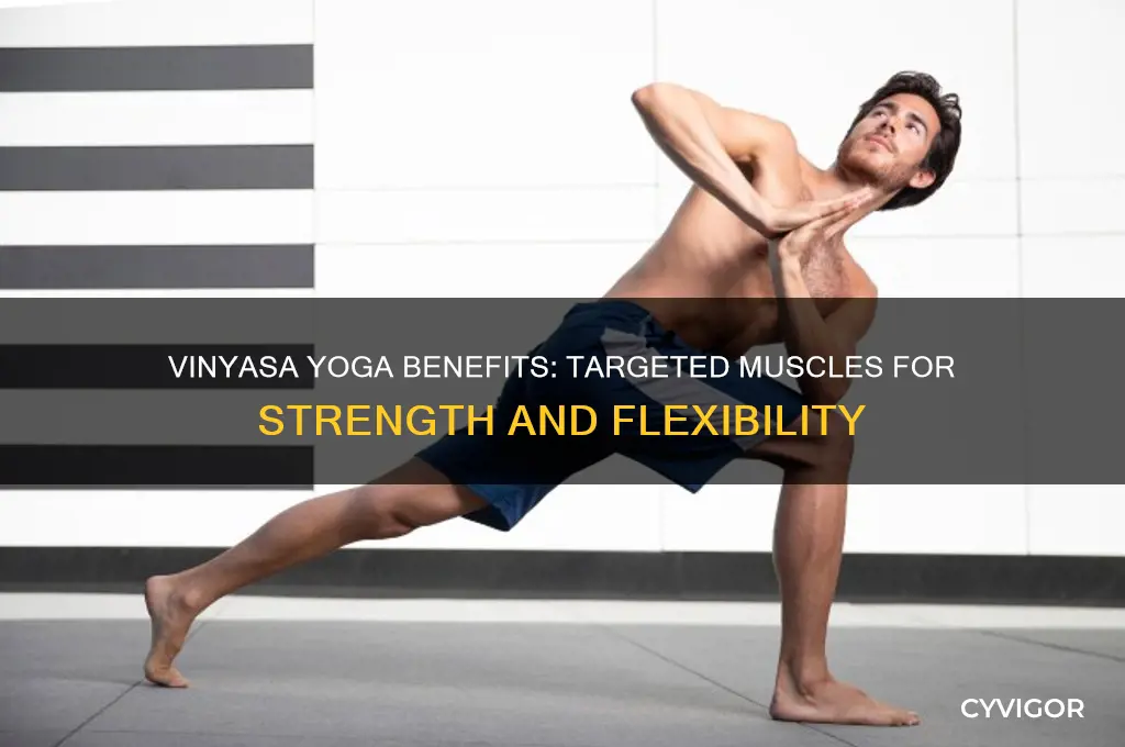 Vinyasa Yoga Benefits: Targeted Muscles For Strength And Flexibility ...