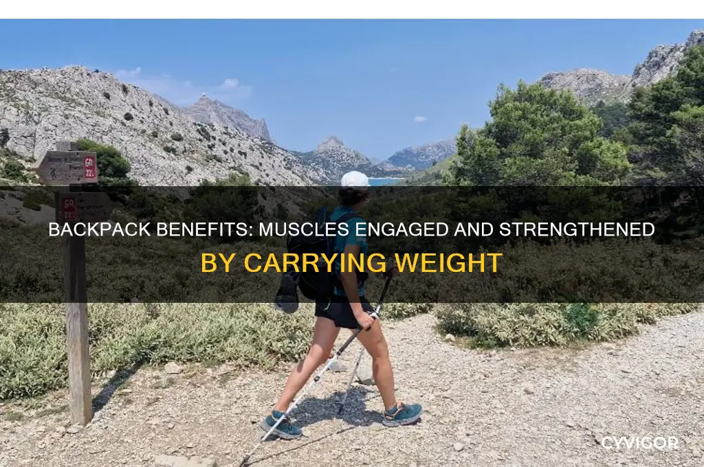 Backpack Benefits: Muscles Engaged And Strengthened By Carrying Weight ...