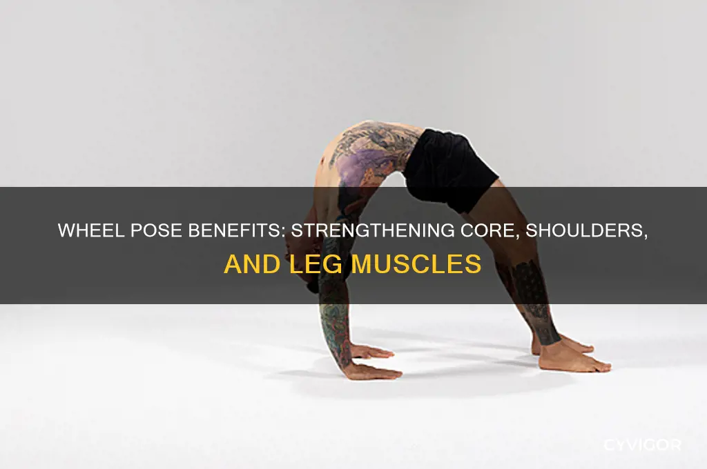 Wheel Pose Benefits: Strengthening Core, Shoulders, And Leg Muscles ...
