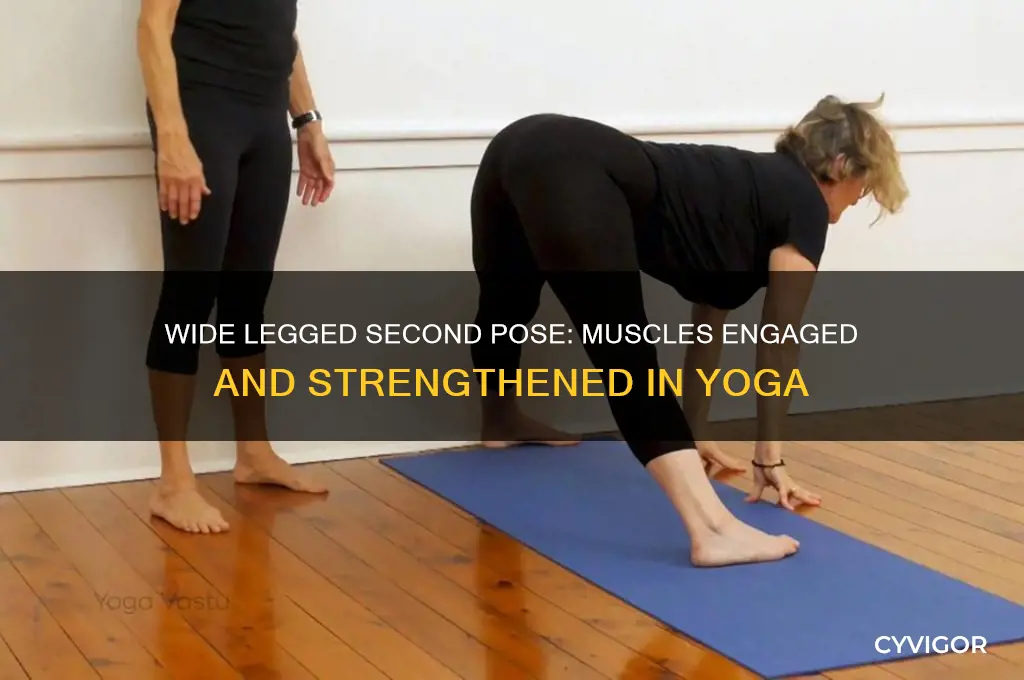 Wide Legged Second Pose: Muscles Engaged And Strengthened In Yoga | CyVigor