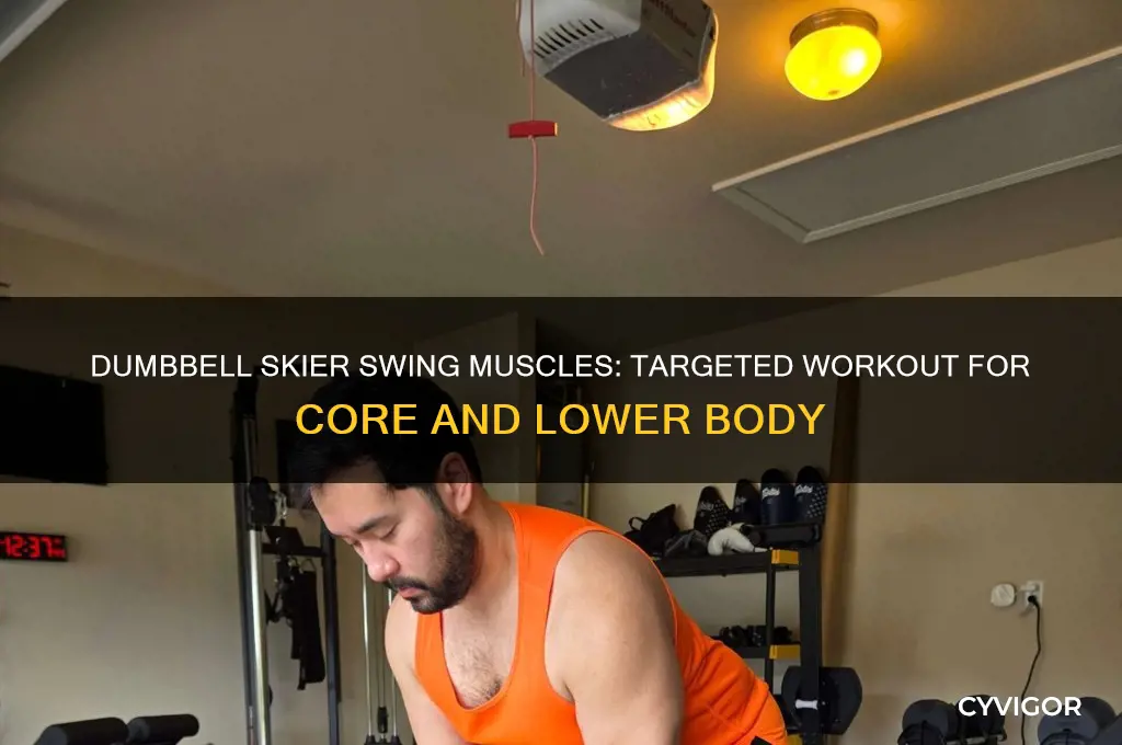 Dumbbell Skier Swing Muscles: Targeted Workout For Core And Lower Body ...