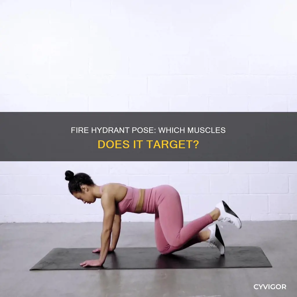 Fire Hydrant Pose: Which Muscles Does It Target? | CyVigor