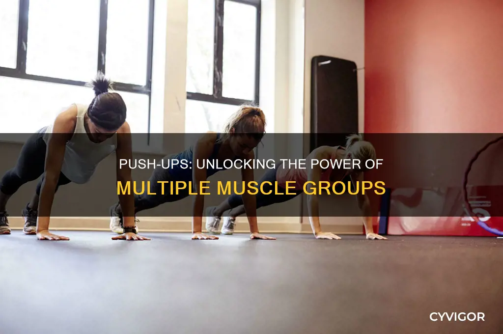 Push-Ups: Unlocking The Power Of Multiple Muscle Groups | CyVigor