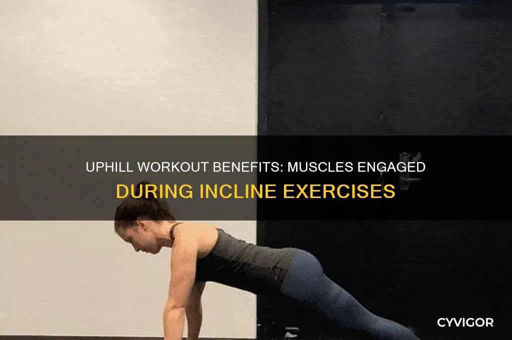 Uphill Workout Benefits: Muscles Engaged During Incline Exercises | CyVigor