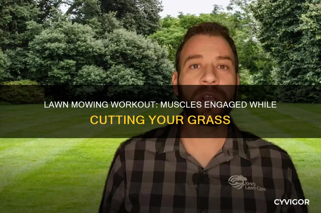 Lawn Mowing Workout: Muscles Engaged While Cutting Your Grass | CyVigor