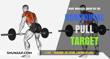 Muscles That Pull Shoulders Forward: Causes And Corrective Exercises ...