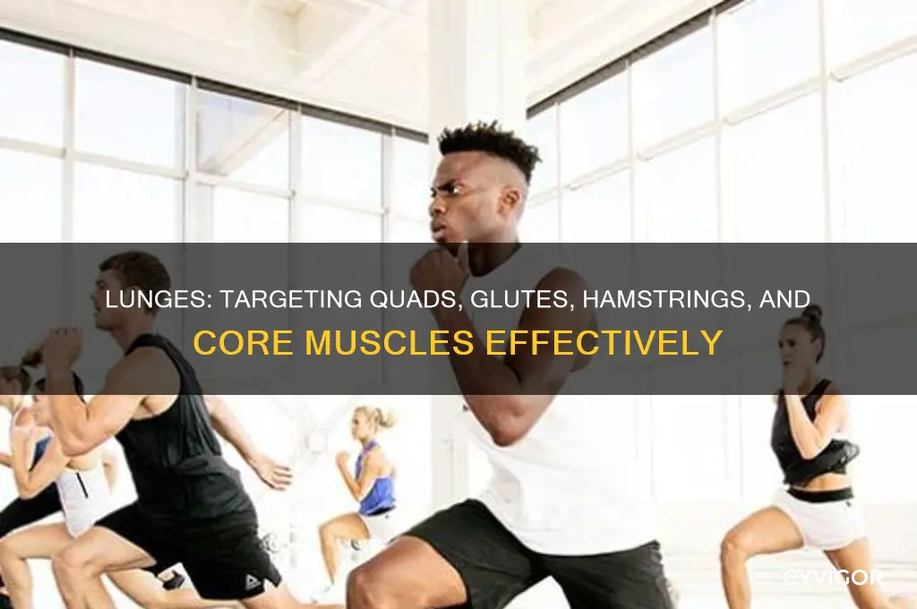 Lunges: Targeting Quads, Glutes, Hamstrings, And Core Muscles ...