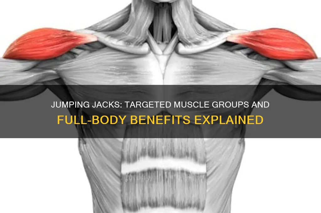 Jumping Jacks: Targeted Muscle Groups And Full-Body Benefits Explained ...