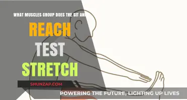 Sit And Reach Test: Target Muscles And Flexibility Explained | CyVigor