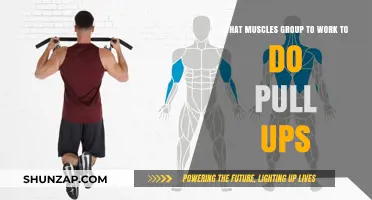 Walking's Muscle Power: Unveiling The Key Muscles Engaged In Every Step ...