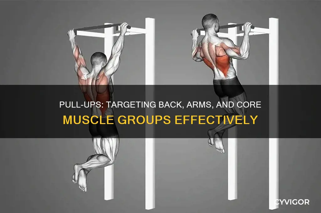Pull-Ups: Targeting Back, Arms, And Core Muscle Groups Effectively ...