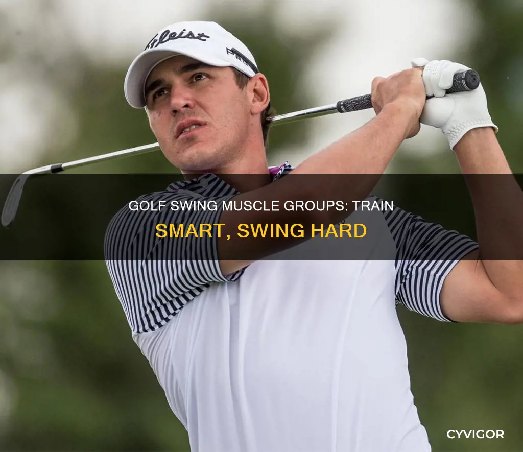 Golf Swing Muscle Groups: Train Smart, Swing Hard | CyVigor