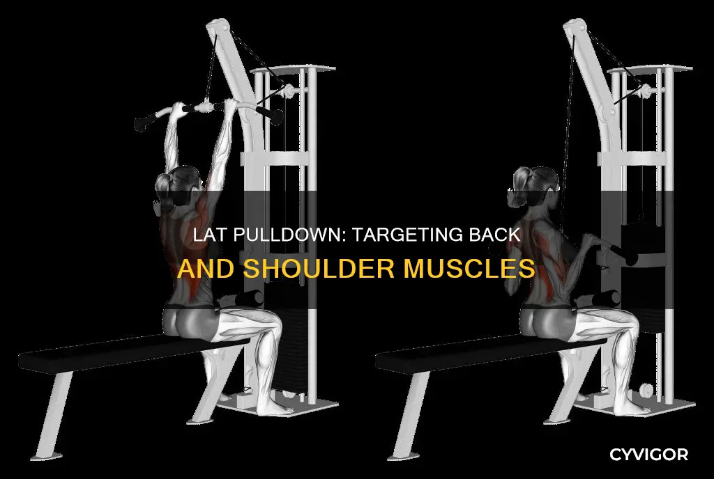 Lat Pulldown: Targeting Back And Shoulder Muscles | CyVigor