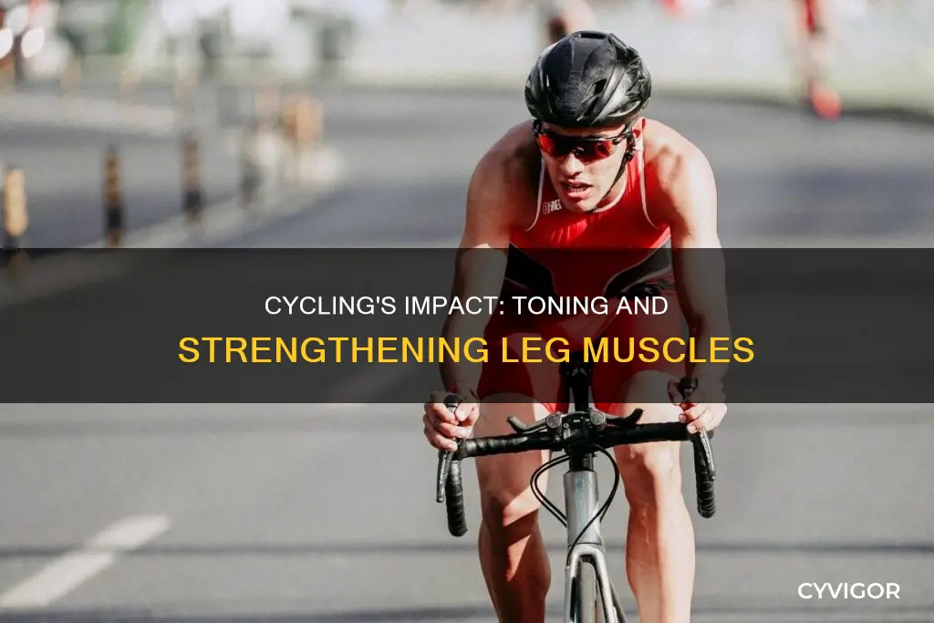 Cycling's Impact: Toning And Strengthening Leg Muscles | CyVigor