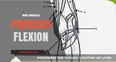 How Muscles Eject Sperm: Understanding The Process | CyVigor