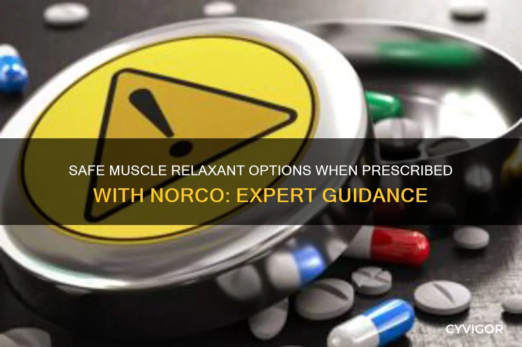 Safe Muscle Relaxant Options When Prescribed With Norco: Expert ...